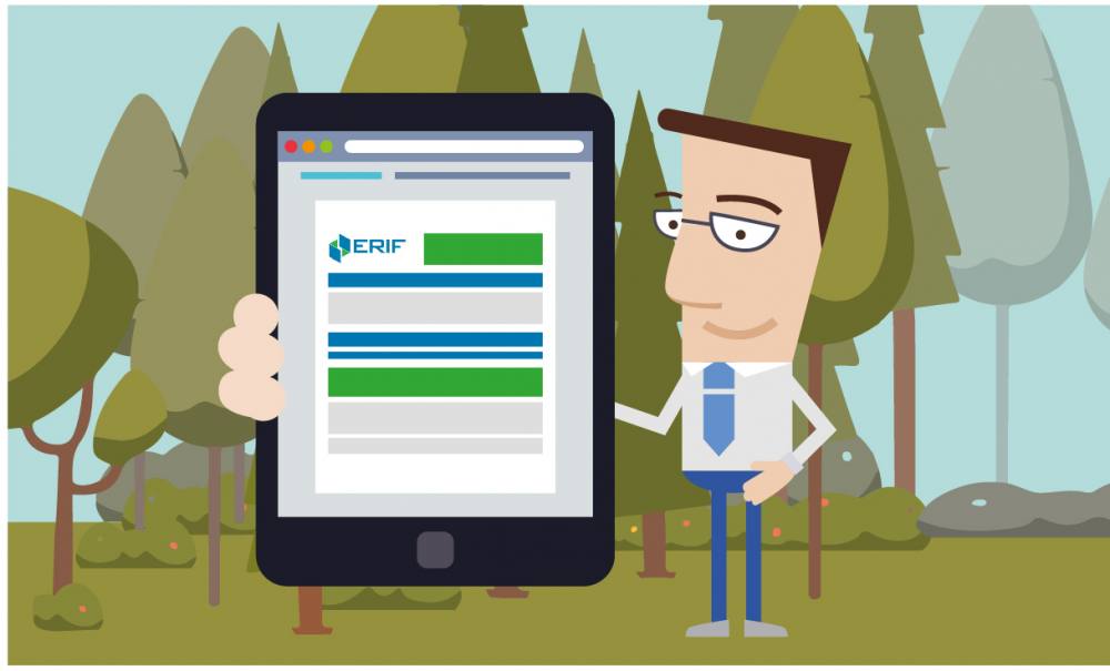 Raport ERIF - jak wygląda i jak go czytać?